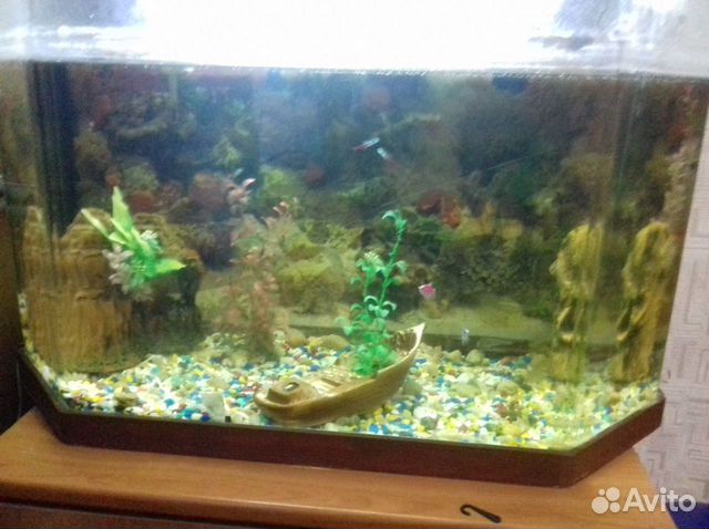 Аквариум