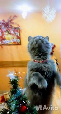 Эсмиральда