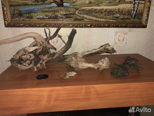 Натуральная коряга