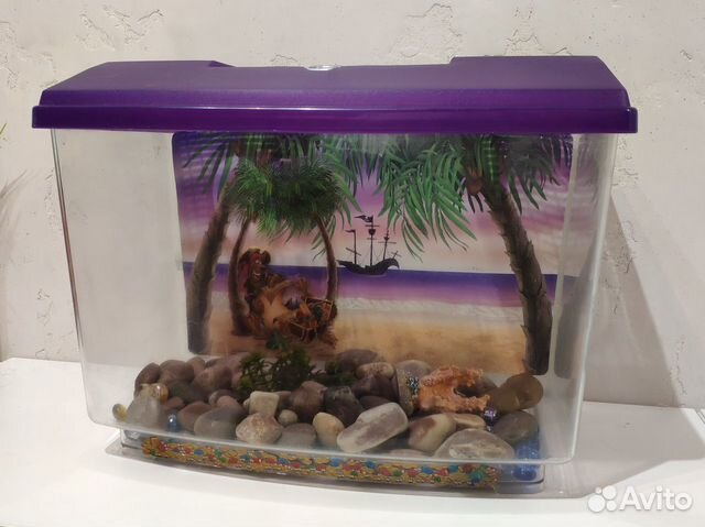 Аквариум