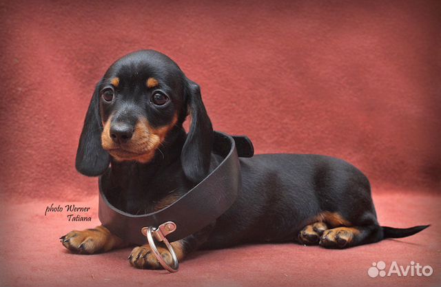 Девочка конфеточка