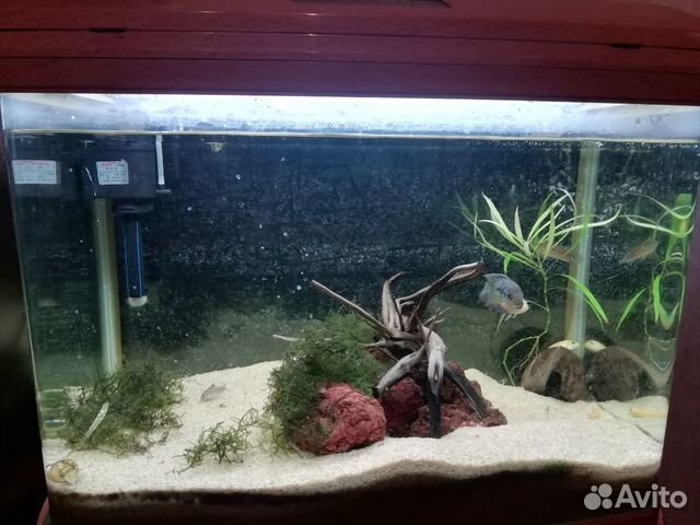 Аквариум 100л