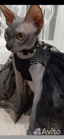 Ждем жениха