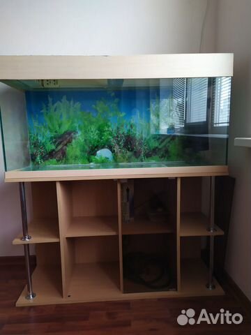 Продаю Аквариум