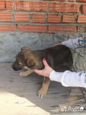 Симпатичные малыши