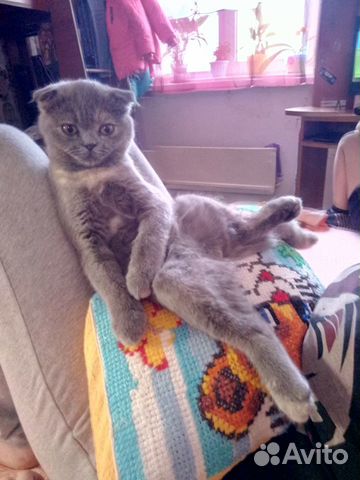 Ищем жениха