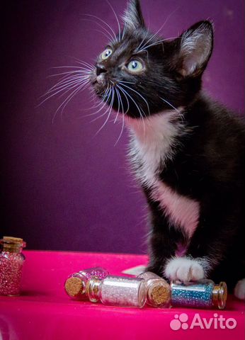 Бусинка 1,5 месяца