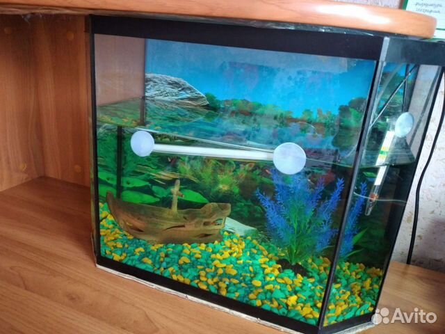Аквариум с рыбками и аксессуарами