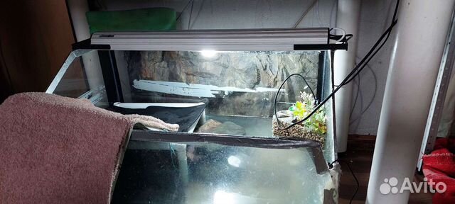 Черепашатник с 2 черапашками