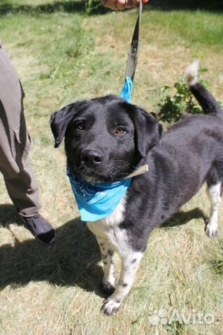 Красивый и молодой Каен мечтает стать домашним