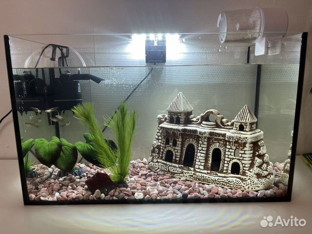 Аквариум