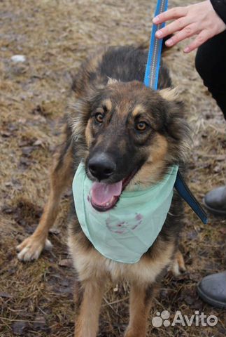 Меня хотели усыпить