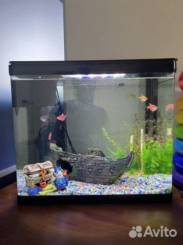 Аквариум