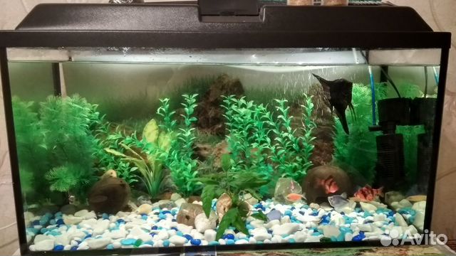 Аквариум 100л