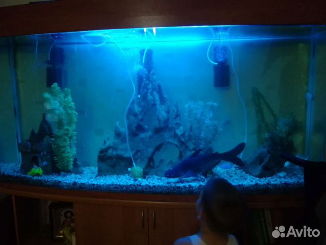 Аквариум, триплекс - цельнолитой, 730 литров