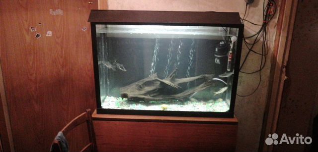 Аквариум 145 литров Б/у обмен, грунт, коряга