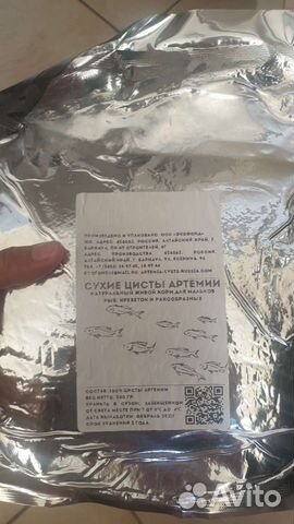 Артемия цисты