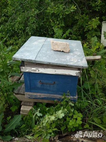 Пчелиные ульи 12-рамочные, медогонка