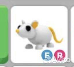 Fly райд крыса