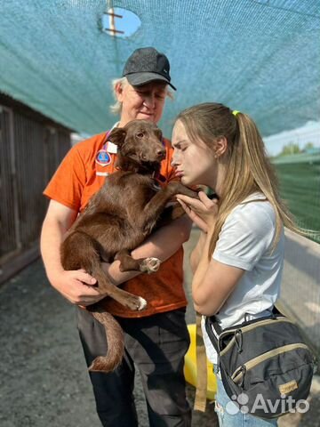 Маленькая шоколадка