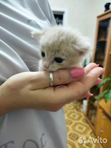 Малыши мальчик и девочка ищут семью