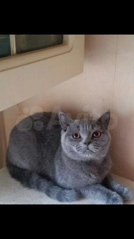 Закрытие питомника